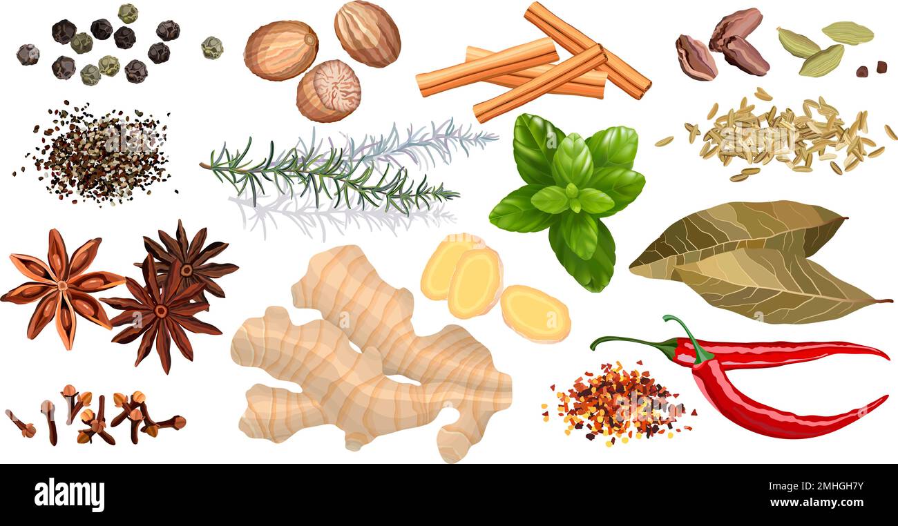 Set of various spices and herbs top view vector Stock Vector Image ...