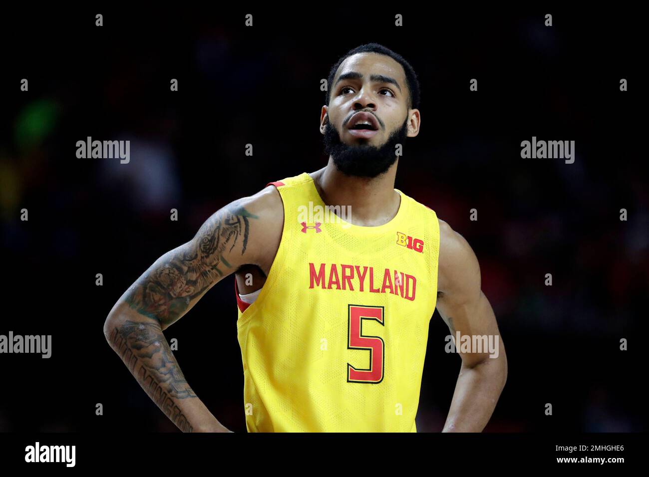 Maryland guard Eric Ayala looks on while a teammate shoots a free throw ...