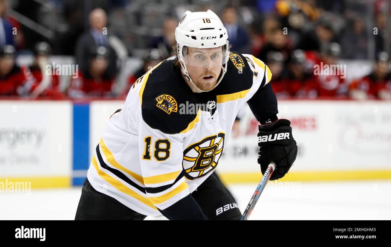 Boston Bruins right wing Brett Ritchie (18) during the first period of ...