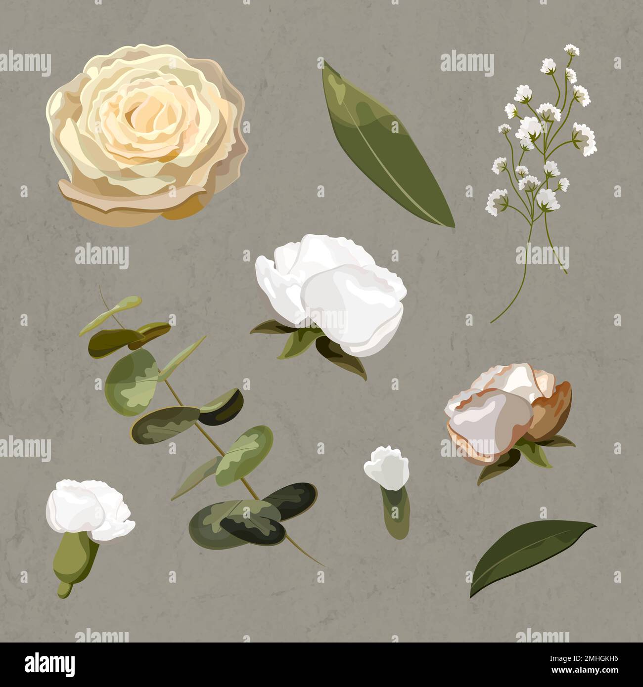 Blooming flowers design resource set vector Stock Vector Image & Art ...