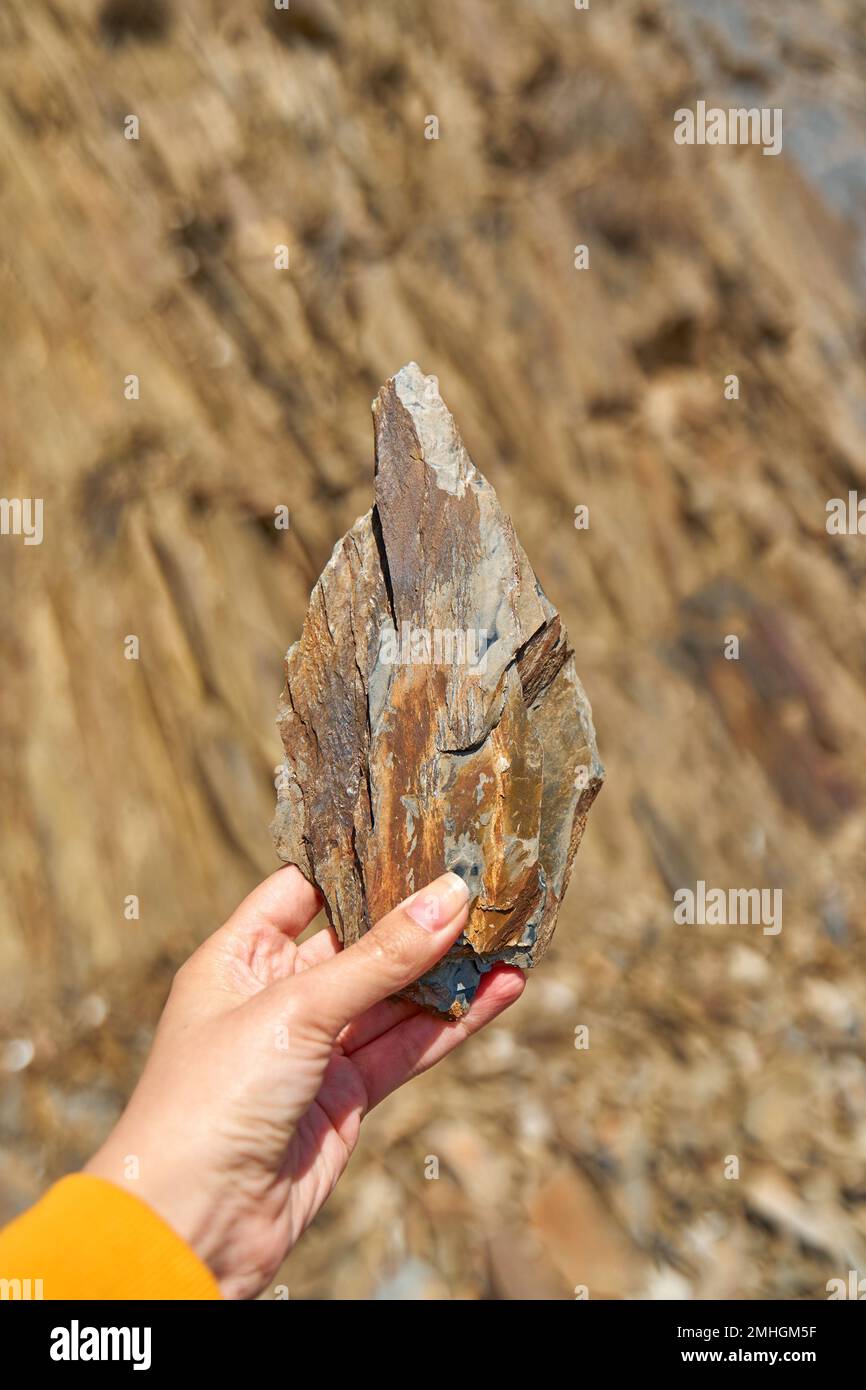 A girl is holding a rock that has fallen off a rock. The stone ...