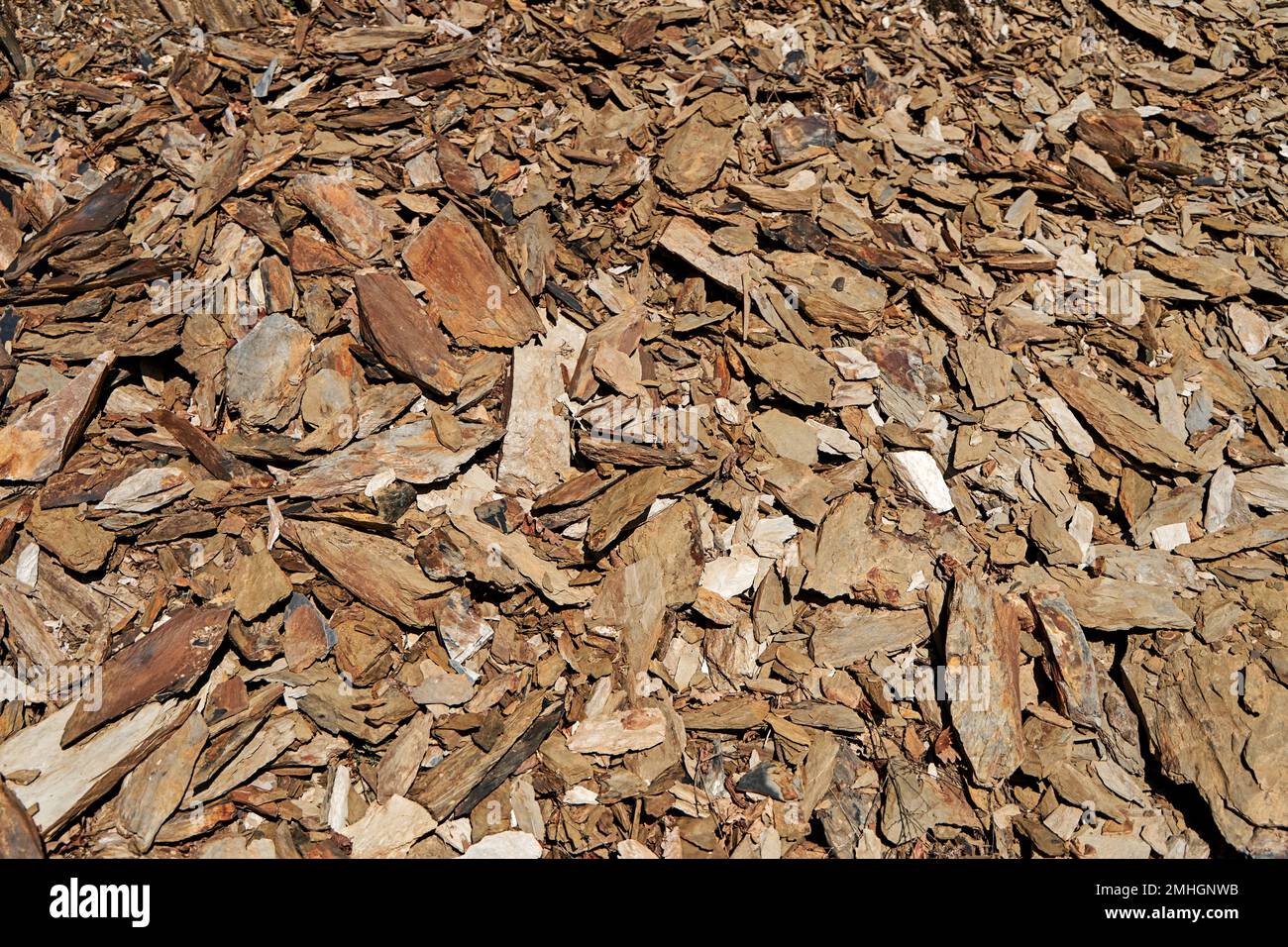 The texture of rocks in the sun. The stone structure of the rock Stock ...