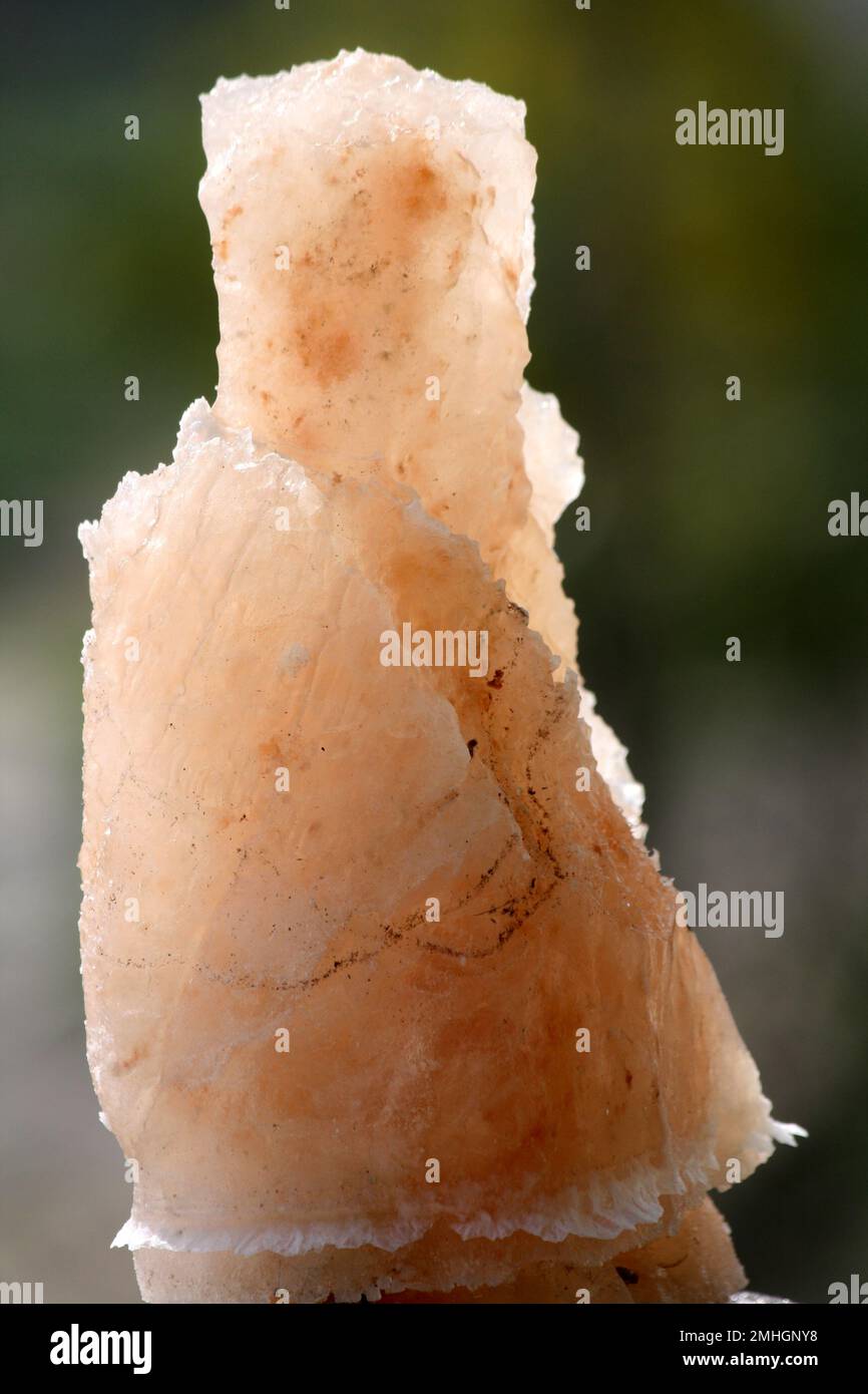 Pink tinted Himalayan salt (halite) with various natural shapes : (pix ...