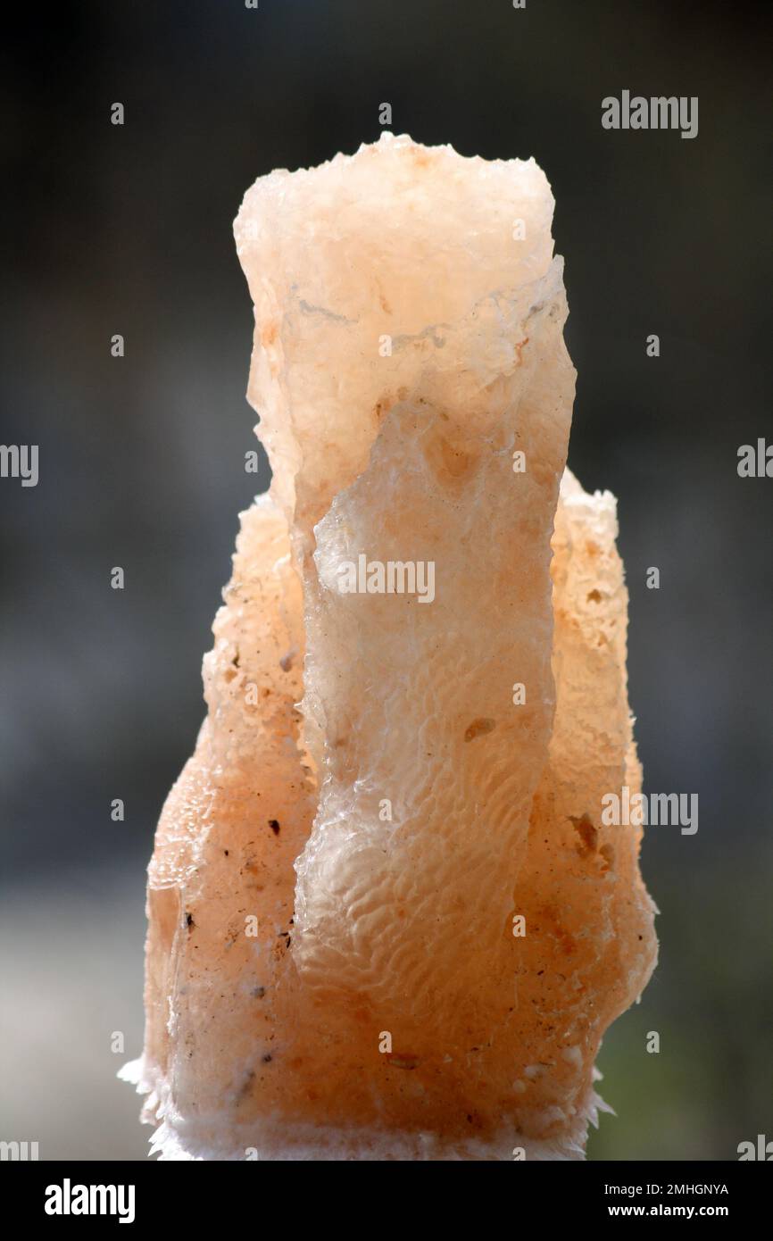 Pink tinted Himalayan salt (halite) with various natural shapes : (pix ...