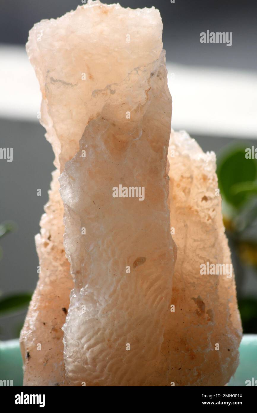 Pink tinted Himalayan salt (halite) with various natural shapes : (pix ...