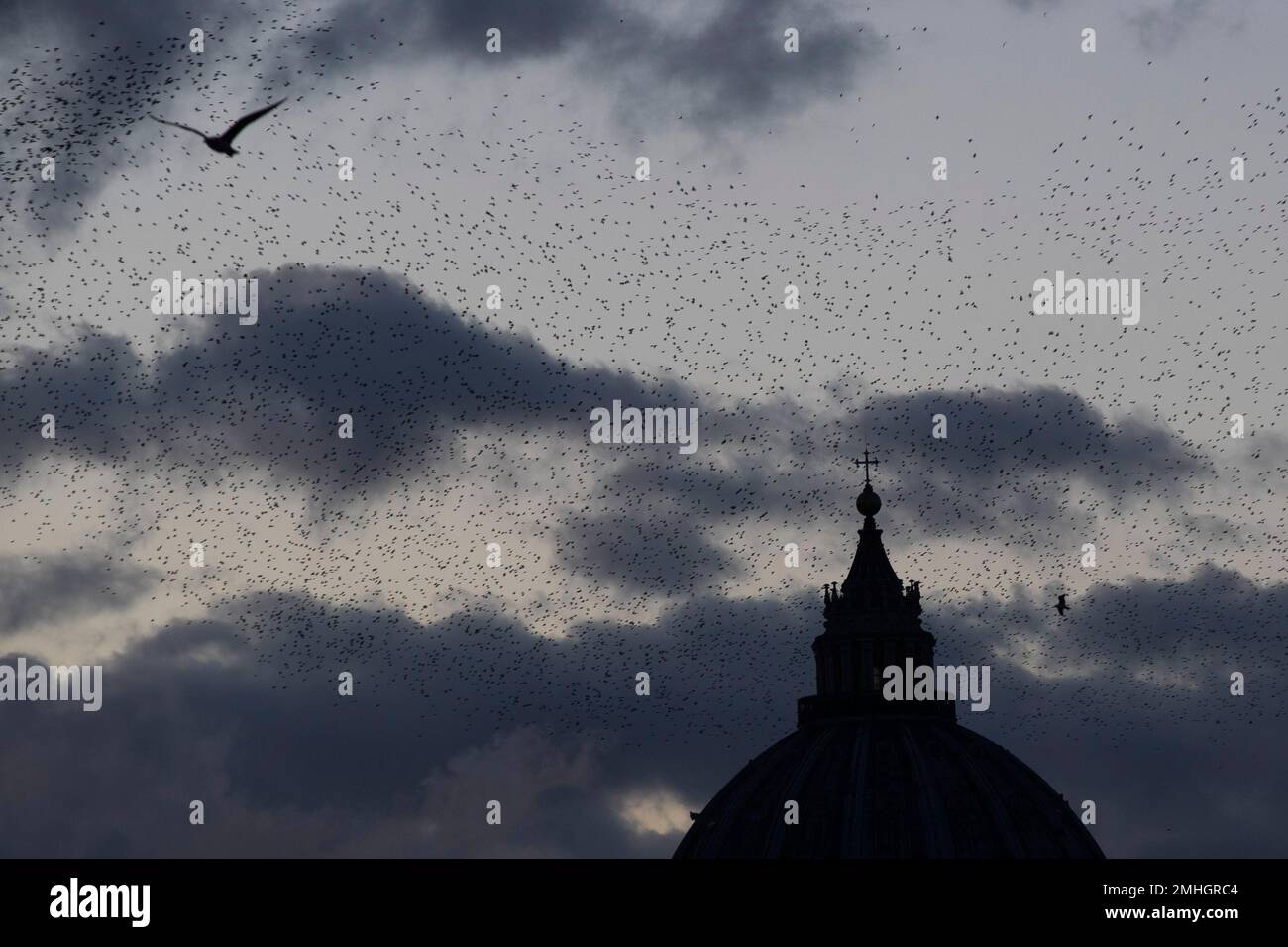 A flock of starlings flies over Rome's skyline and the dome of St ...