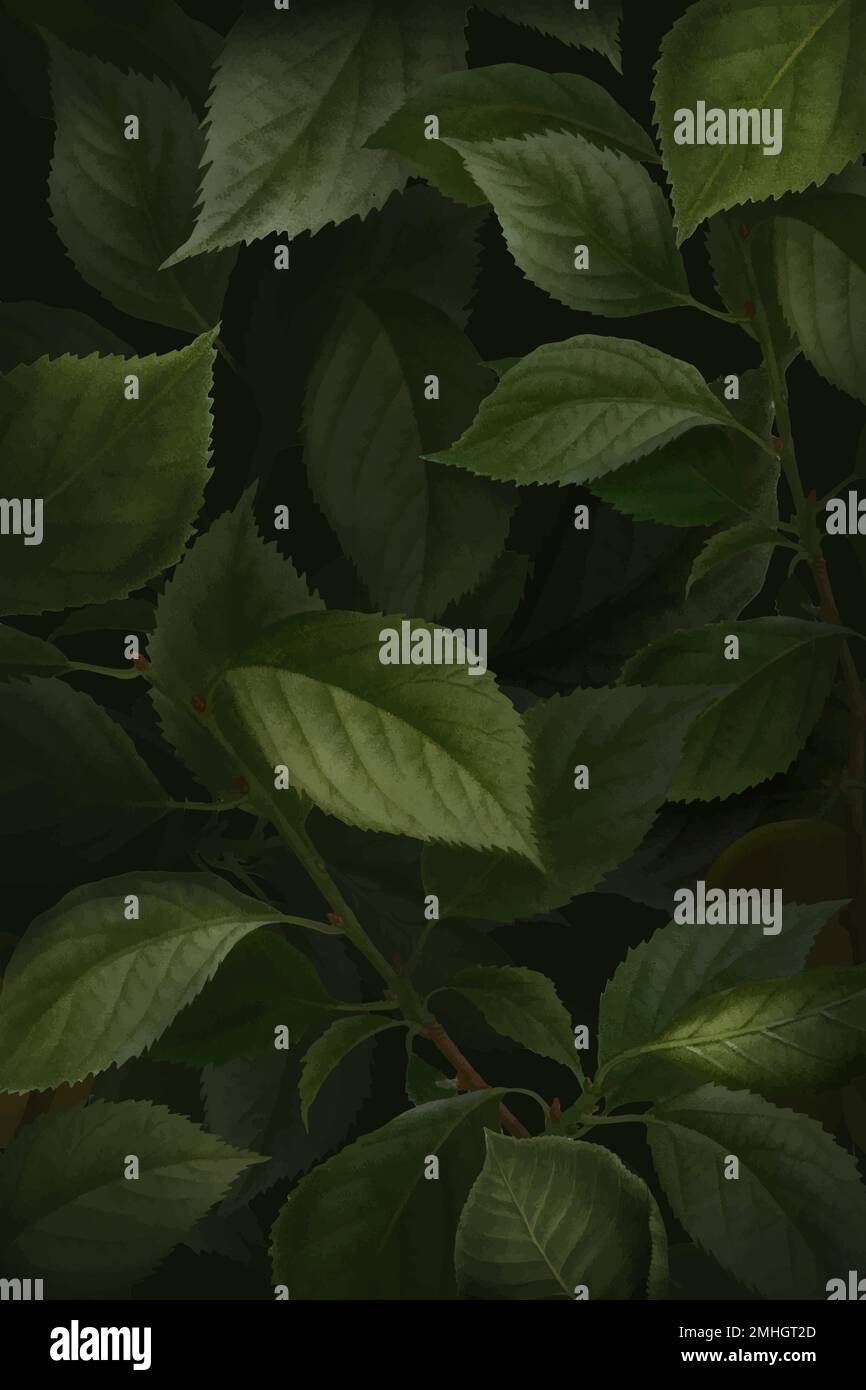 Briançon apricot leaf pattern background vector Stock Vector Image ...