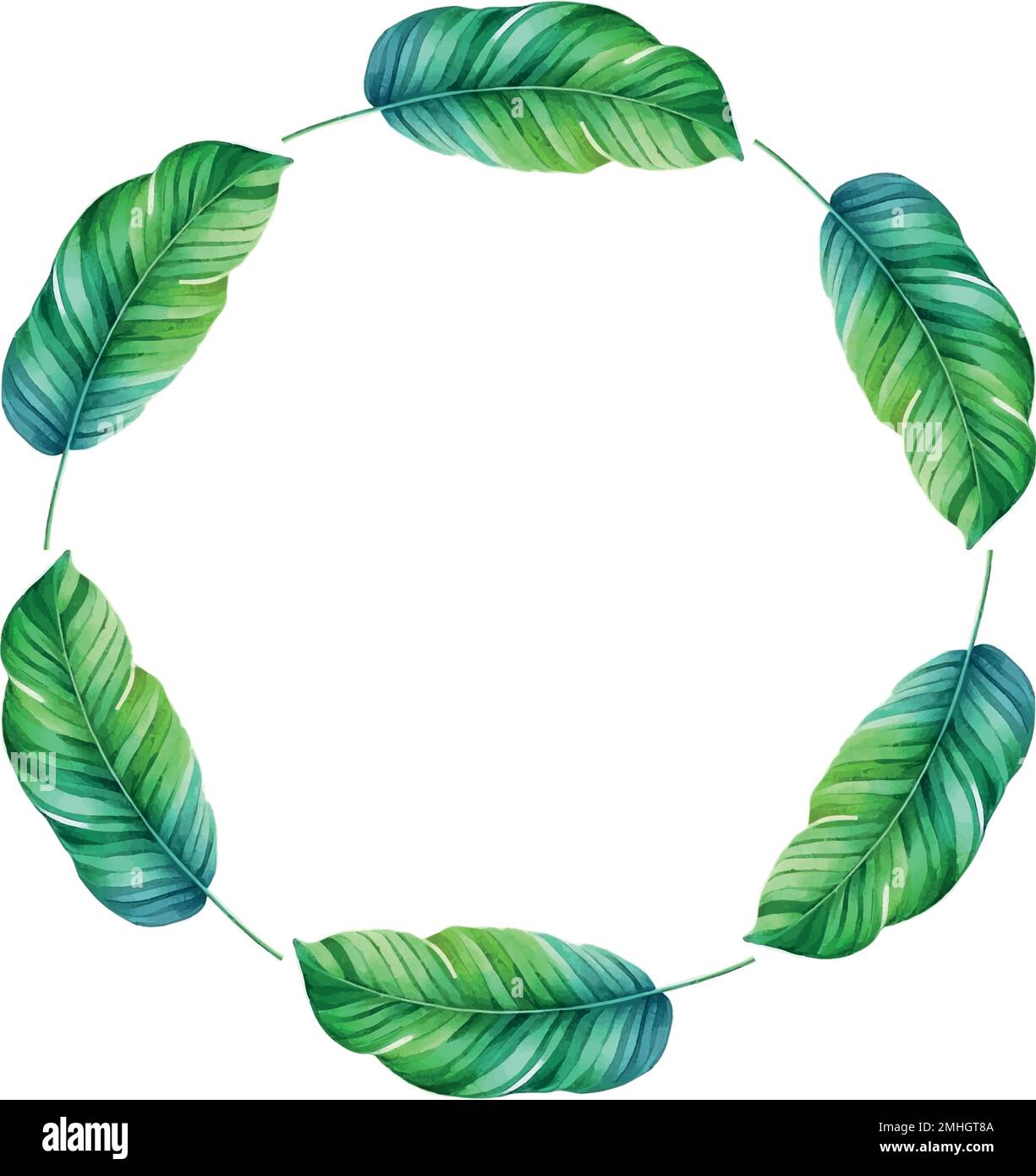 Floral wreath. Botanical illustrations. Watercolor frame Stock Vector ...