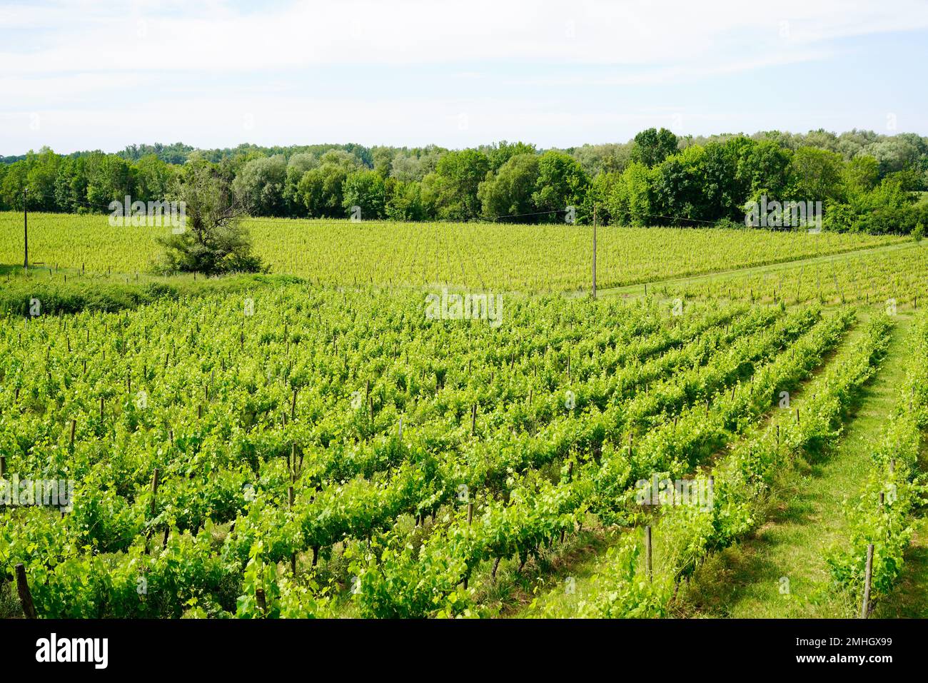 Bordeaux france sky crop hi-res stock photography and images - Alamy