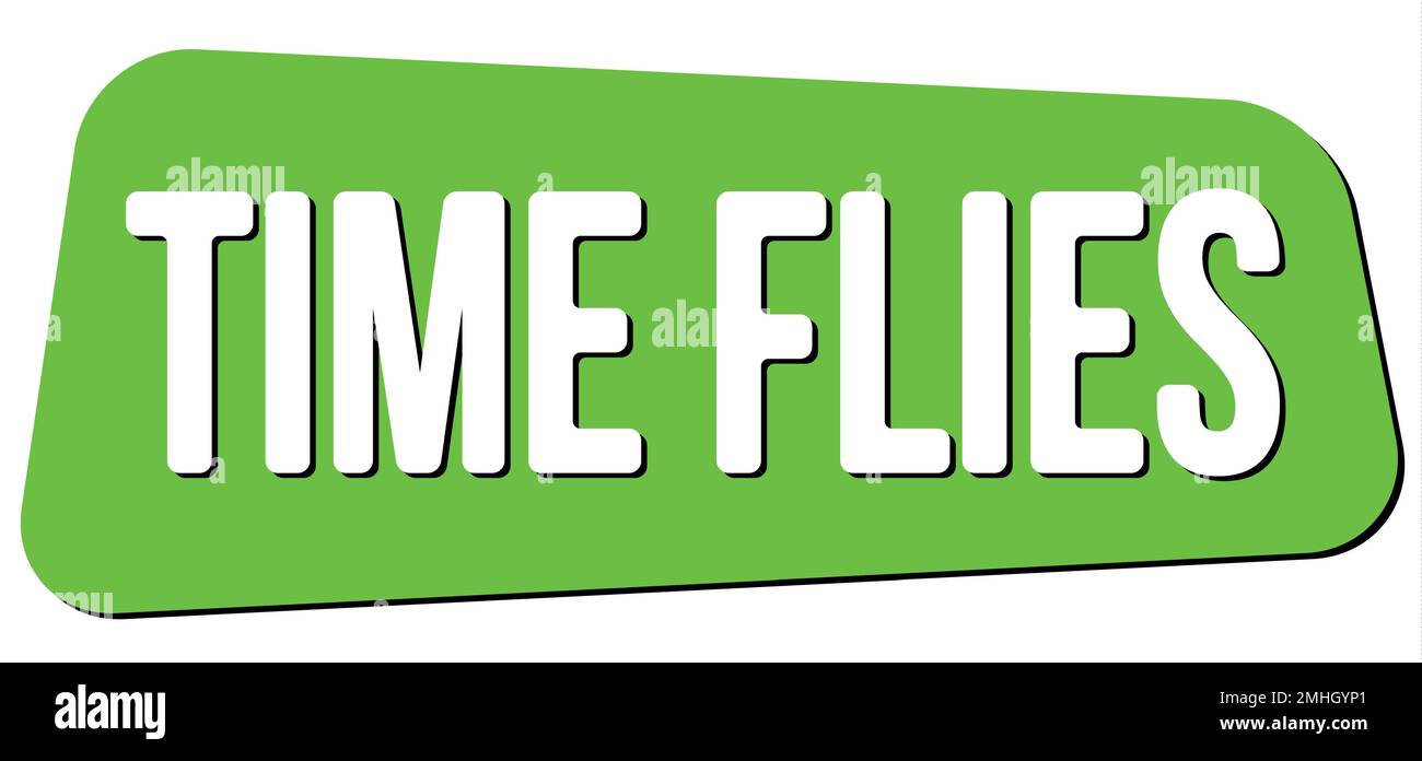 Timeflies Logo