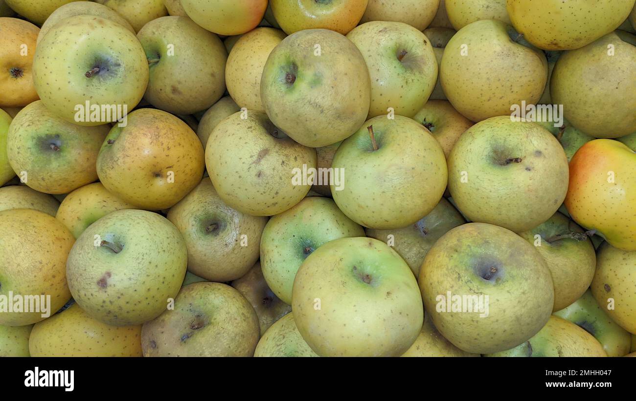 pile of fresh apple fruits natural texture apples as background Stock ...