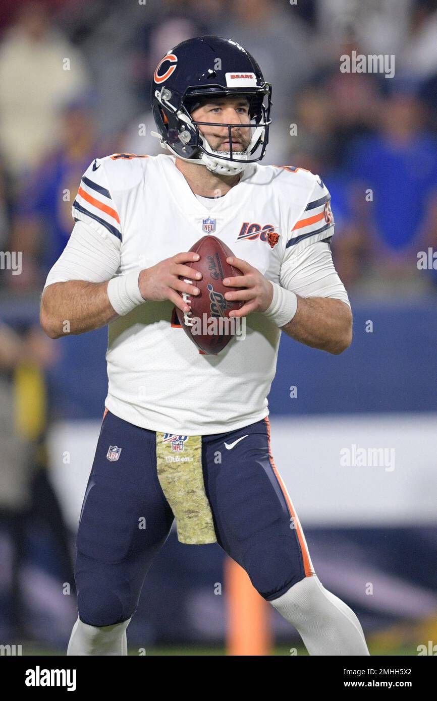 Chicago Bears quarterback Chase Daniel in an NFL football game against ...