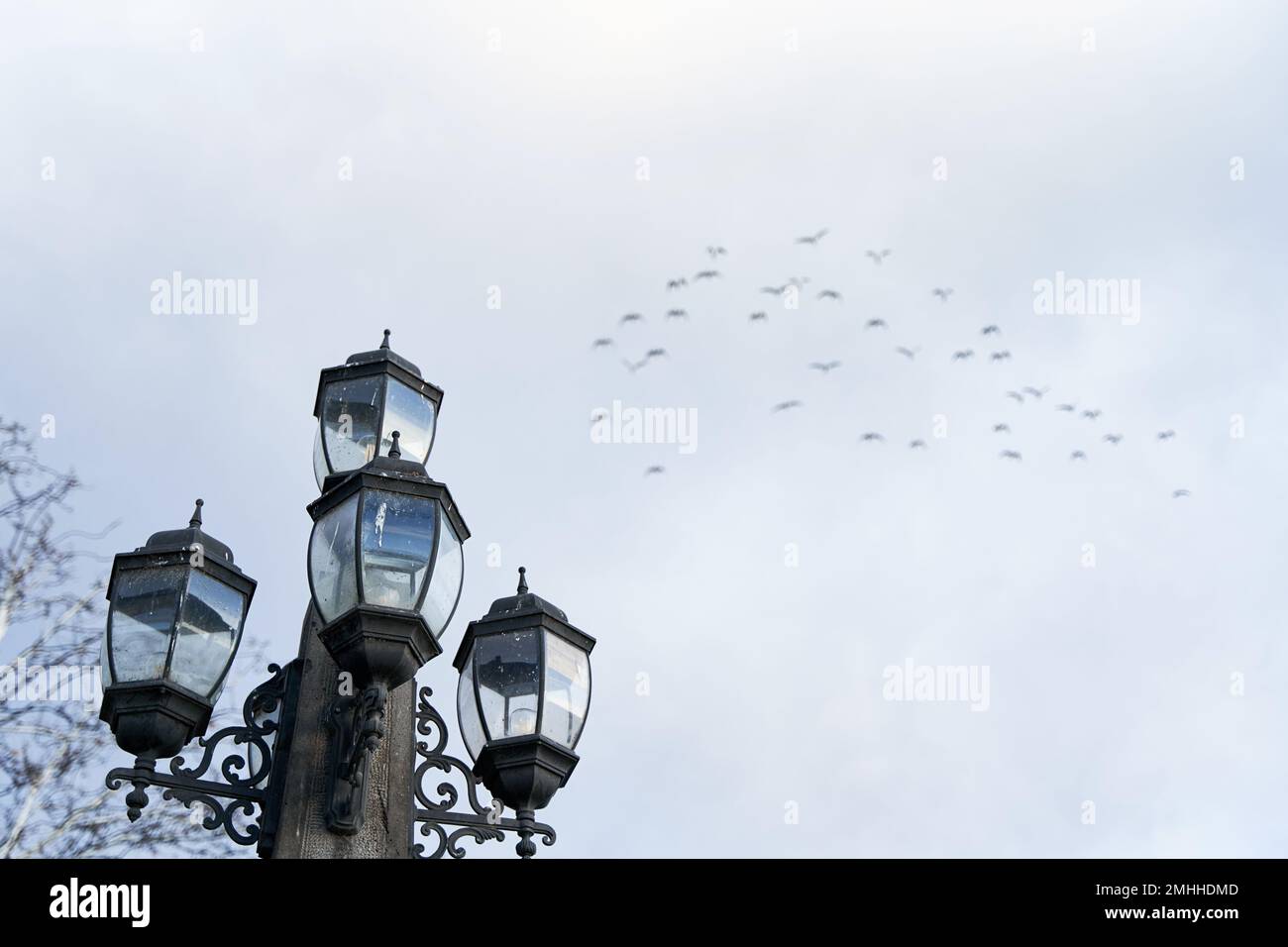 Vintage street lighting lamppost against the sky Stock Photo - Alamy