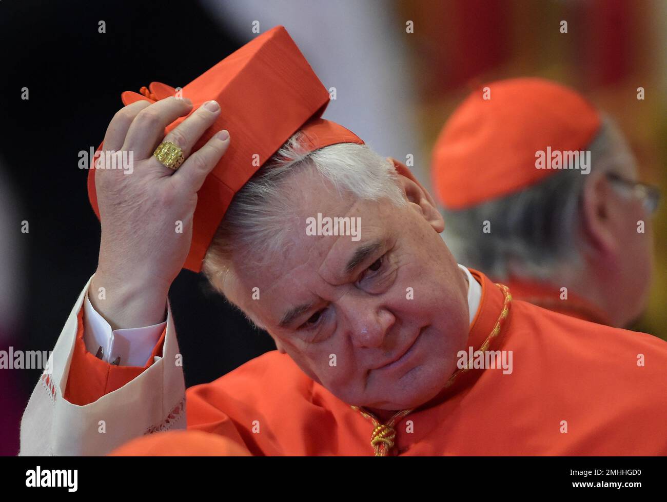 File photo dated February 14, 2015 shows German cardinal Gerhard Ludwig ...
