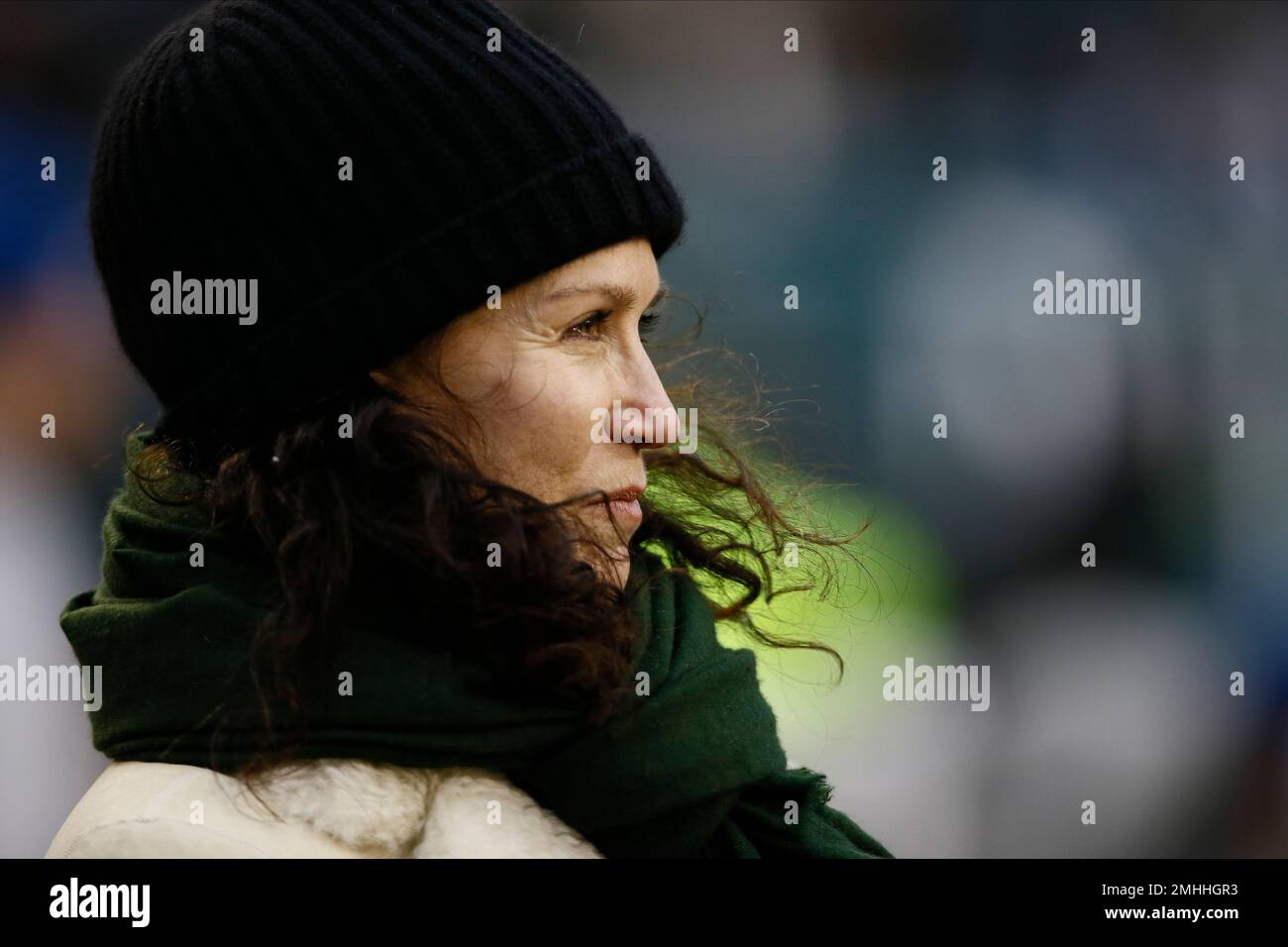 Philadelphia Eagles' Christina Weiss Lurie is seen before an NFL ...