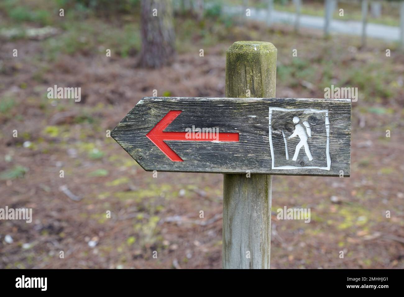 wooden arrow pointing the direction of footpath for hike trail in ...