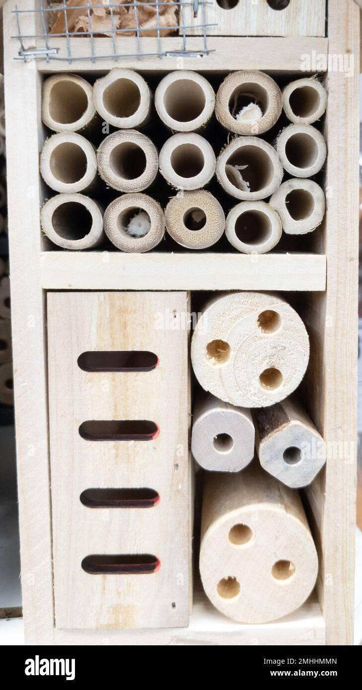 bug hotel wooden insect house ladybird bee home in ecological insects ...