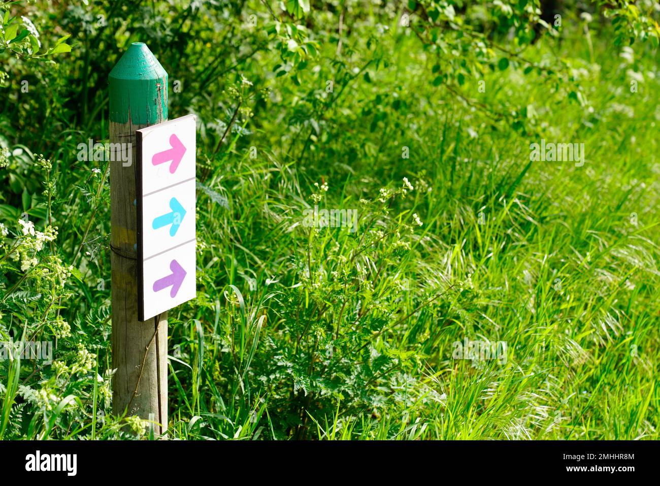 wooden three colors arrow pointing the direction of footpath for hike ...