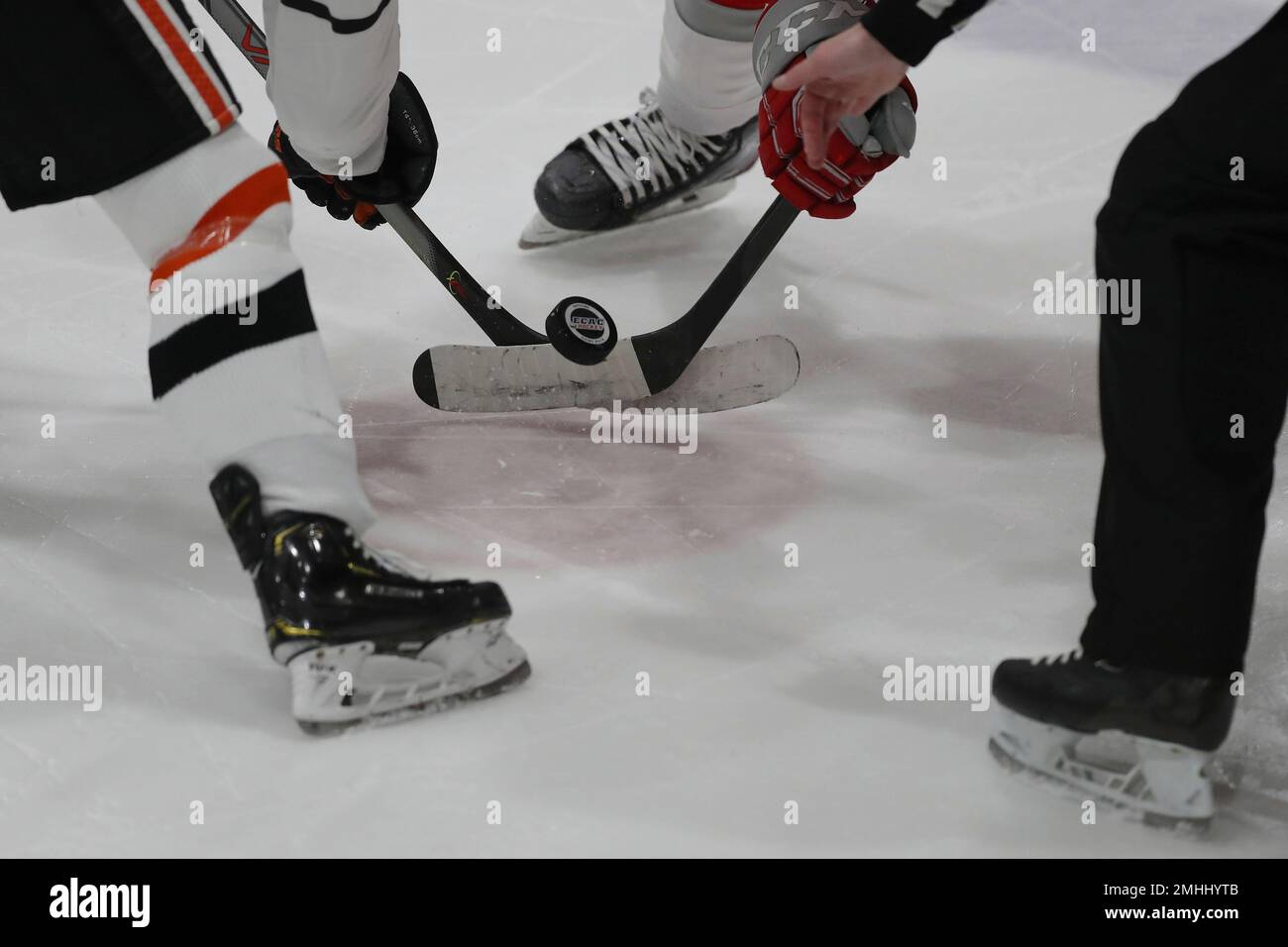 Princeton and Rensselaer face-off during an NCAA hockey game, Friday ...