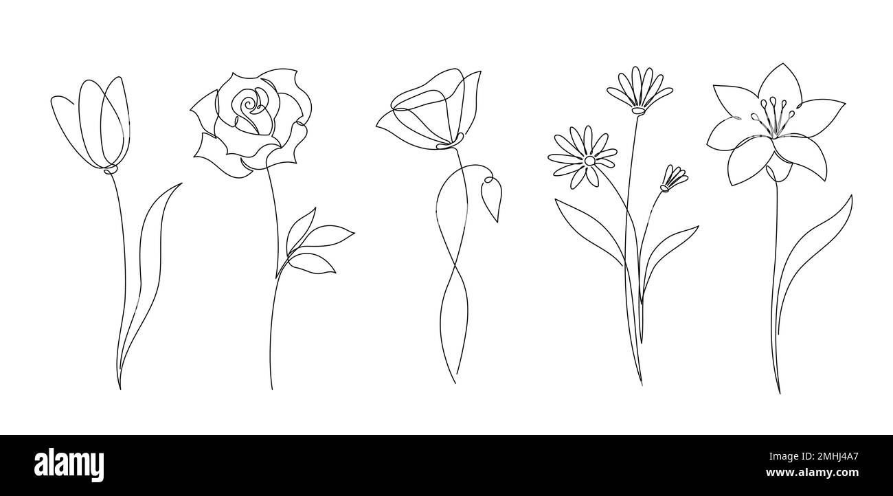 Flower set continuous outline style. Decoration flower, botanical ...