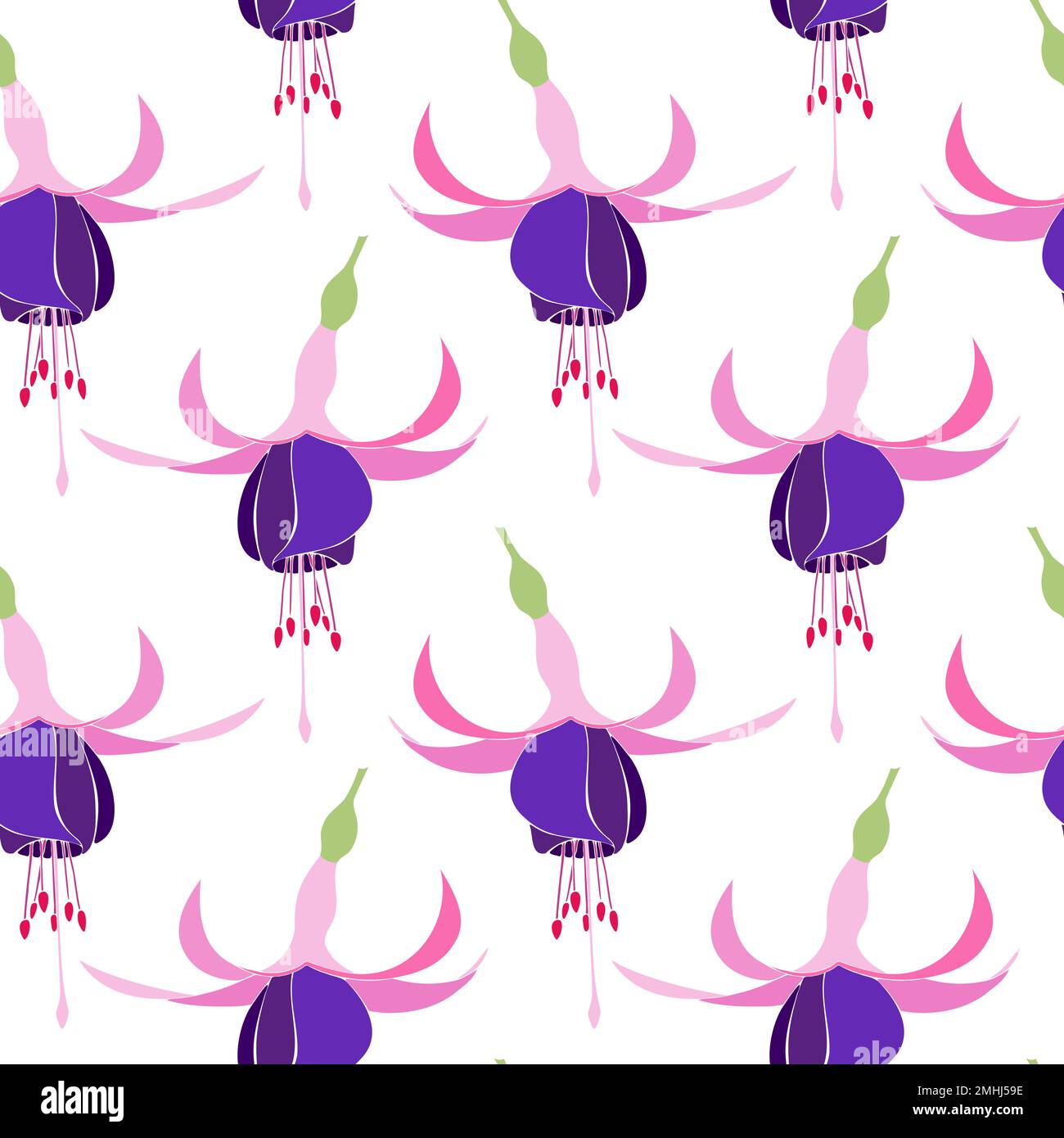 Pattern Pink and Purple Fuchsia Bella. Vector illustration Stock Vector ...