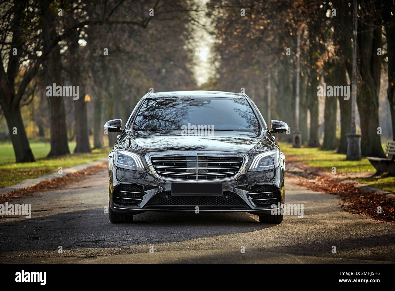 Modern car driving through the woods background, luxury city car ...
