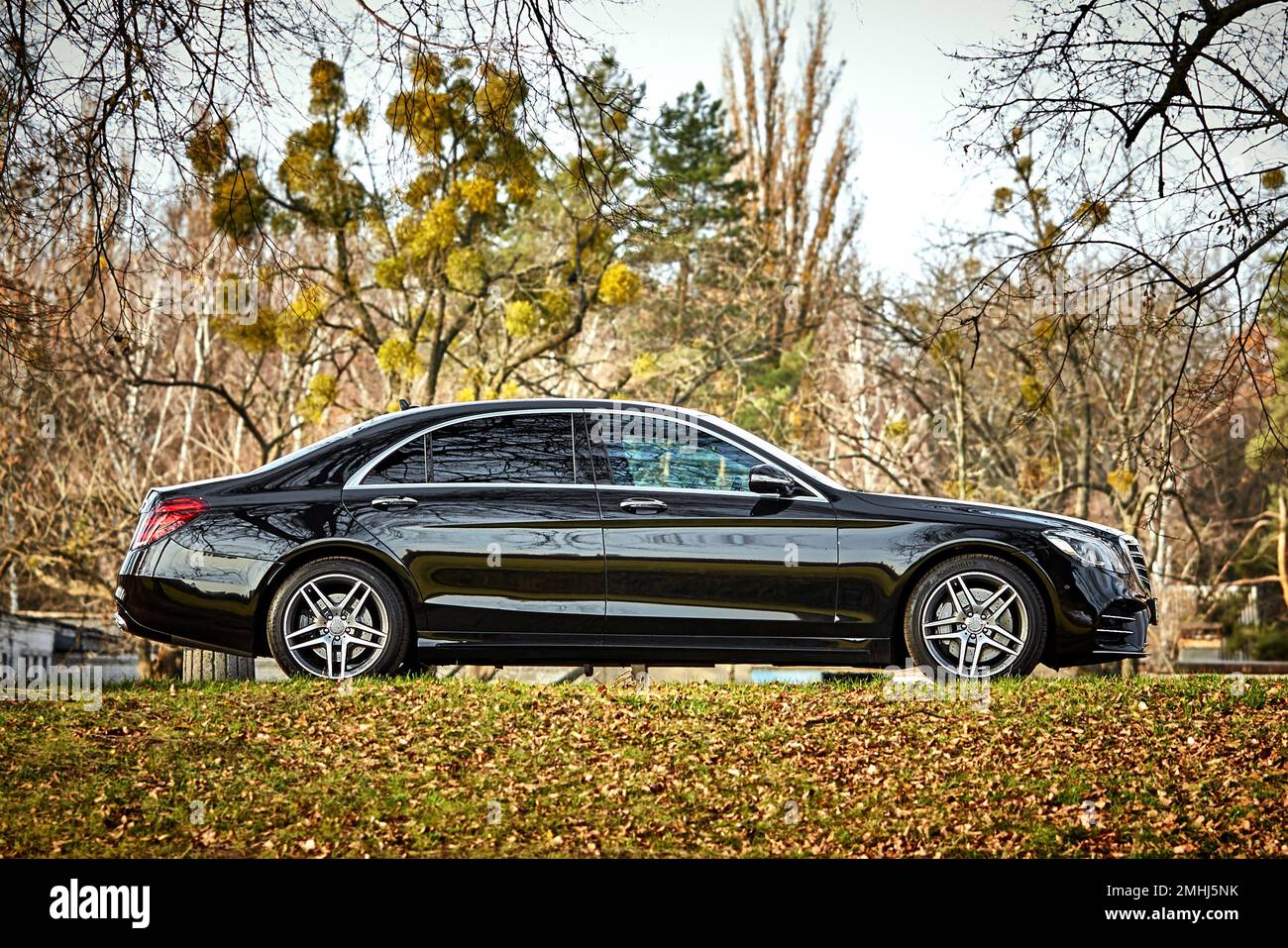 Modern car driving through the woods background, luxury city car ...