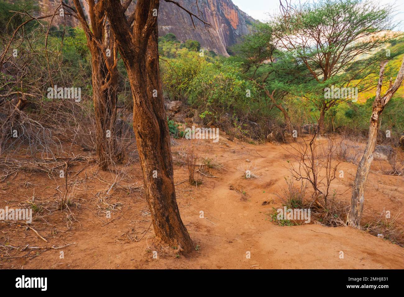 Ndoto mountain hi-res stock photography and images - Alamy