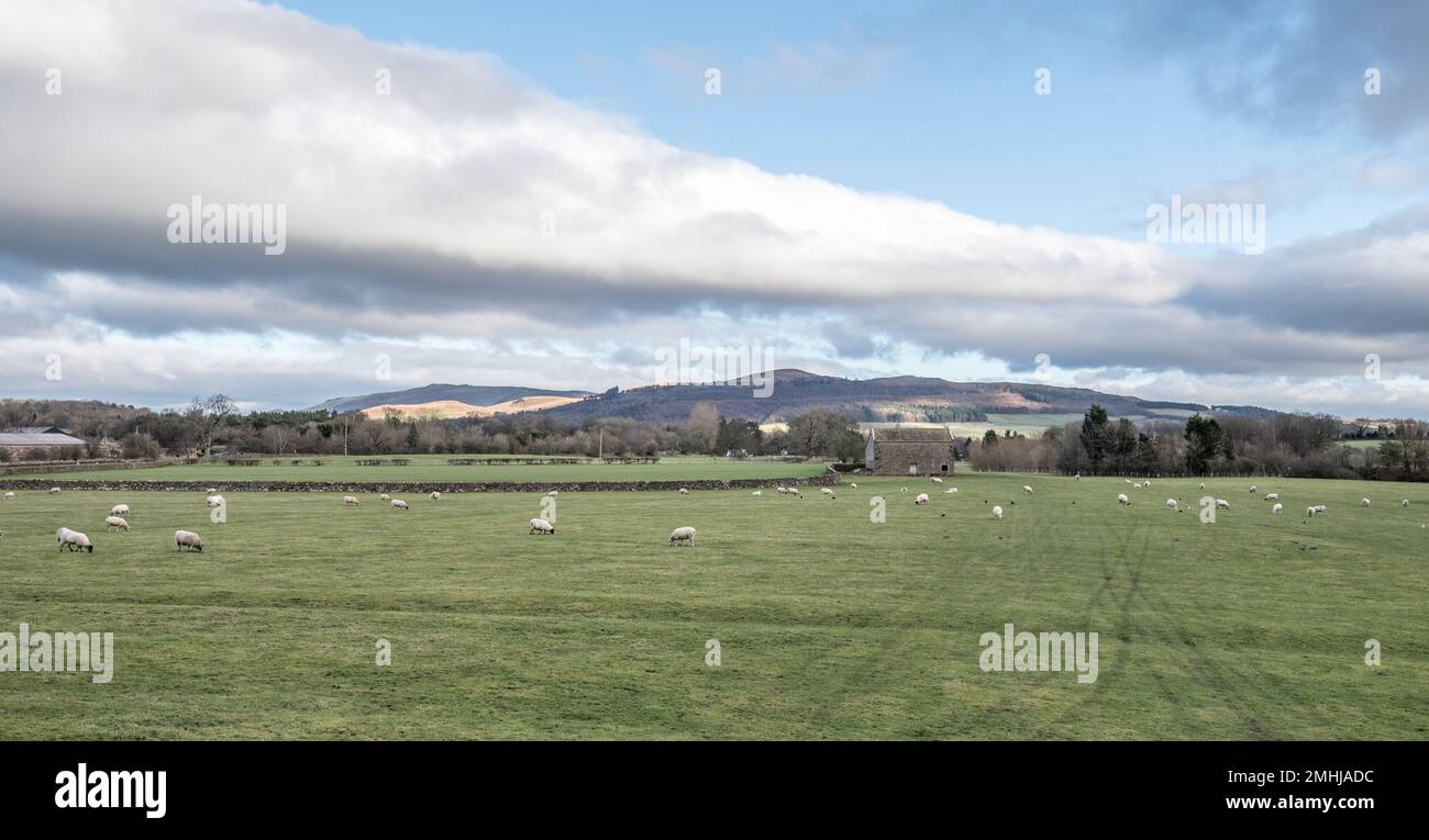 Sharp haw near gargrave hi-res stock photography and images - Alamy