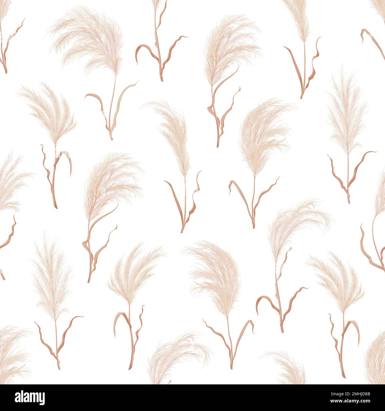 Pampas grass seamless pattern background of dry boho flower plants ...