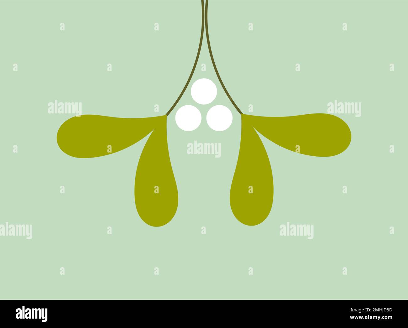 Mistletoe leaves Christmas symbol hanging. Christmas card background ...