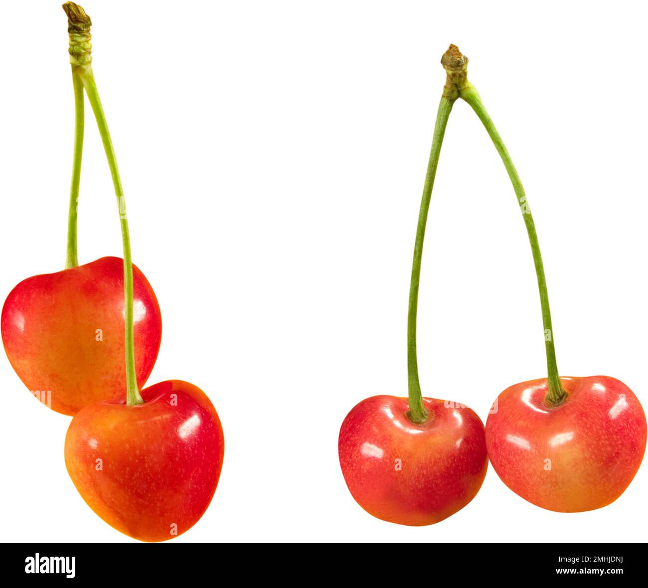 Whole cherry Cut Out Stock Images & Pictures - Alamy