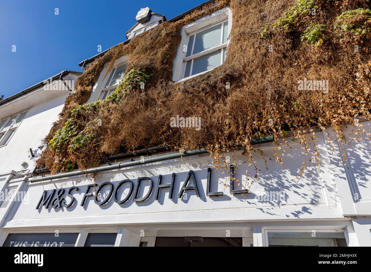Epping & Loughton Location Shoot Stock Photo - Alamy