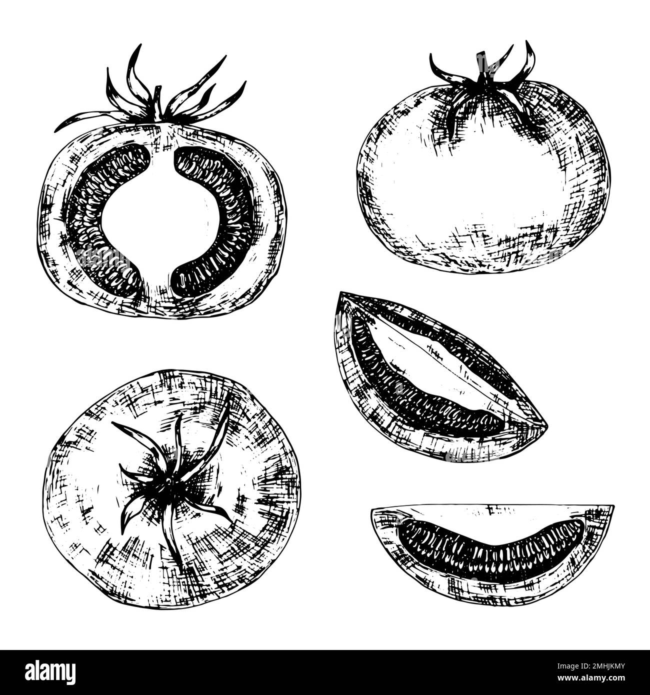 Tomato vector grafic sketch Stock Vector Image & Art - Alamy Tomato vector grafic sketch Stock Vector Image & Art - Alamy