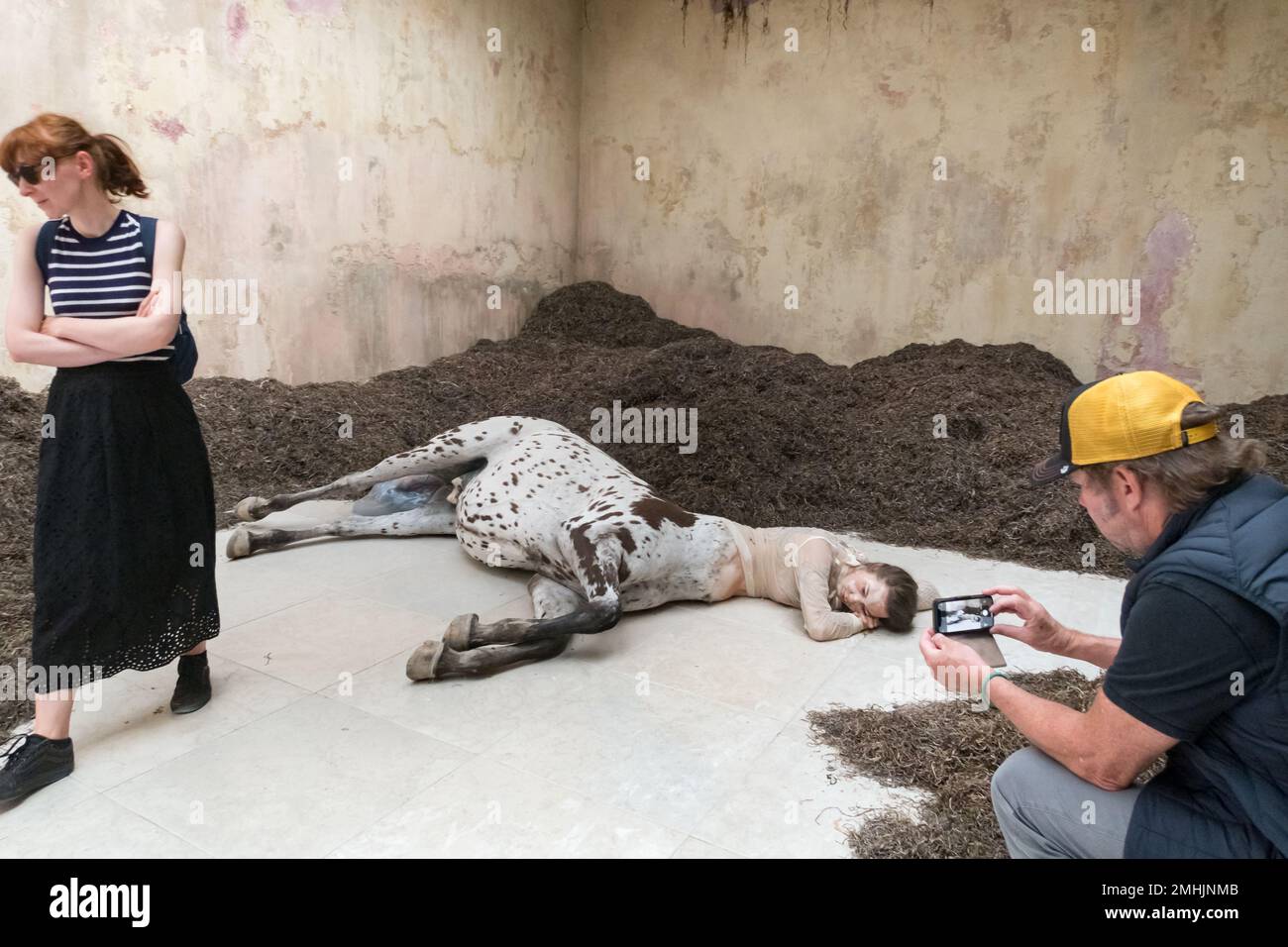 A view of the Danish Pavilion We Walked the Earth, with works by artist ...