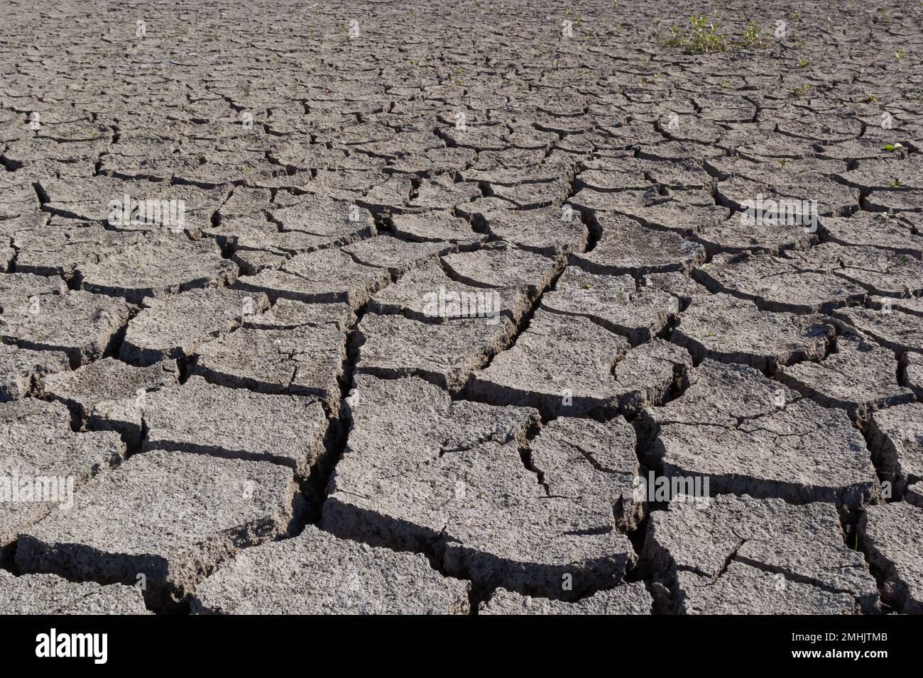 dry land in the dry season Drought, ground cracks, no hot water. Lack ...