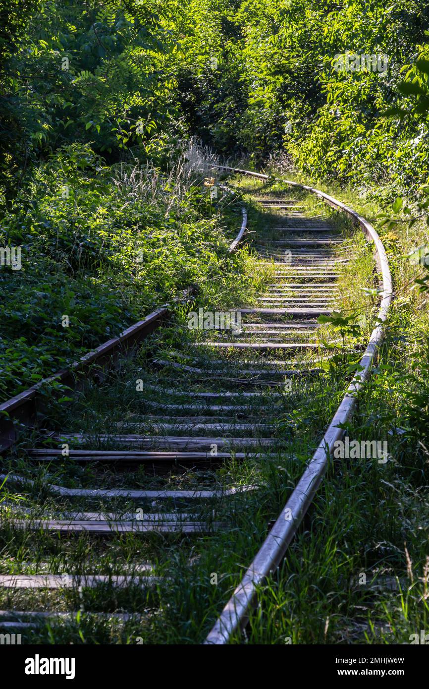 contrast rusty train railway in green grass overgrown Stock Photo - Alamy