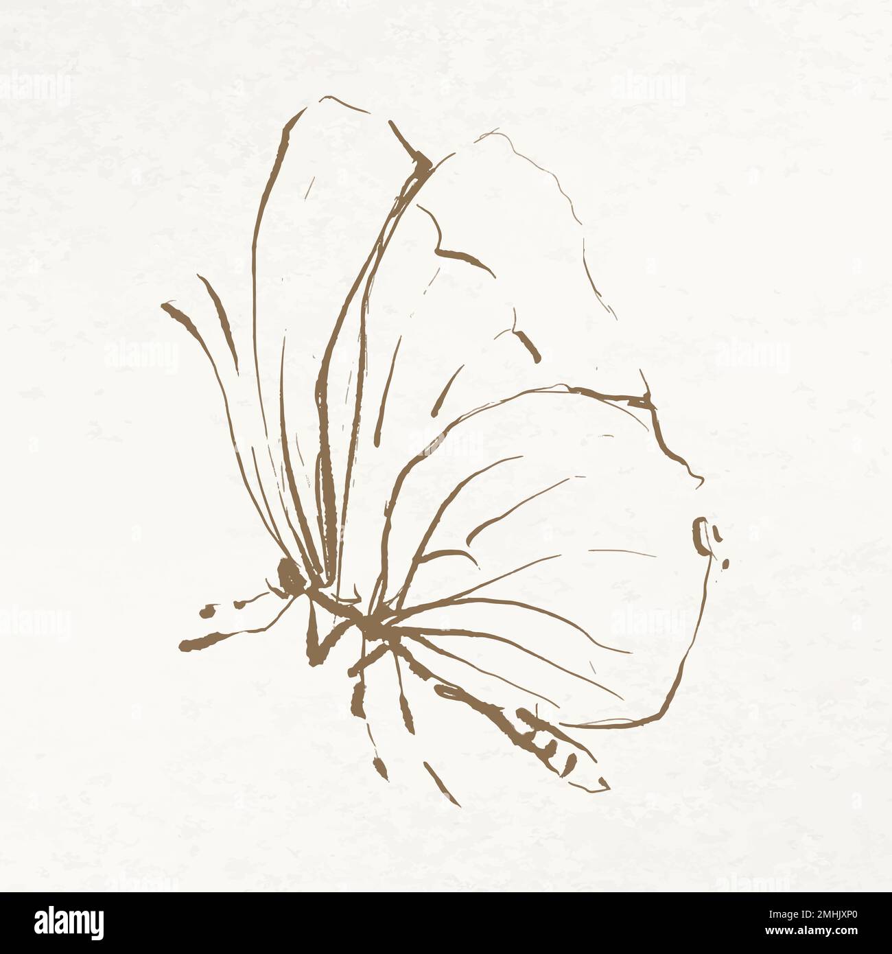 Butterfly doodle hi-res stock photography and images - Alamy