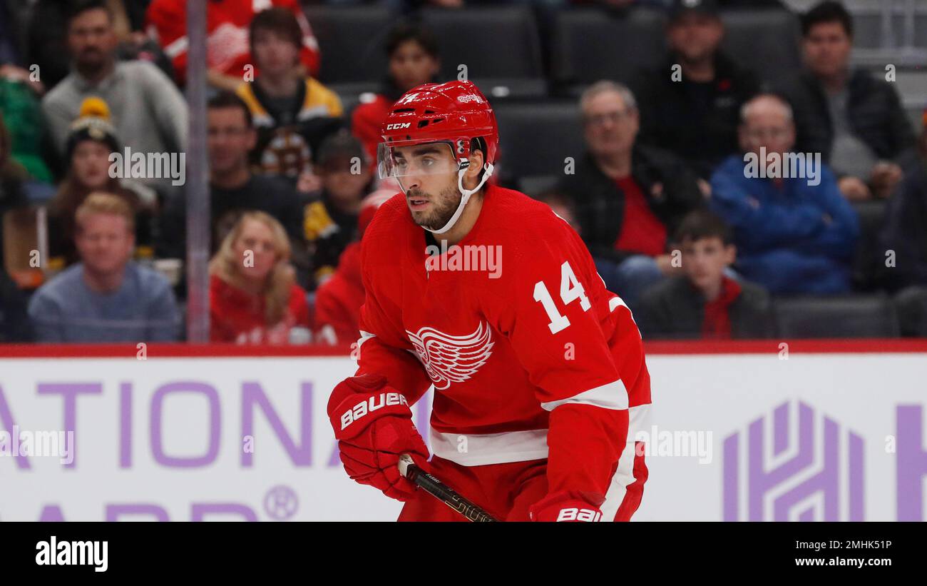 Detroit Red Wings center Robby Fabbri skates during the first period of ...
