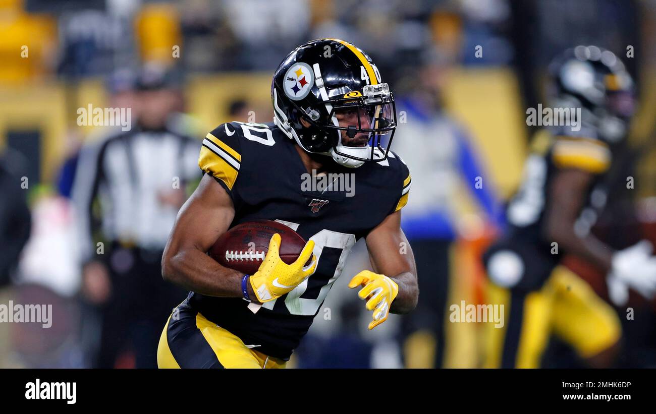 Pittsburgh Steelers running back Tony Brooks-James (40) carries the ...