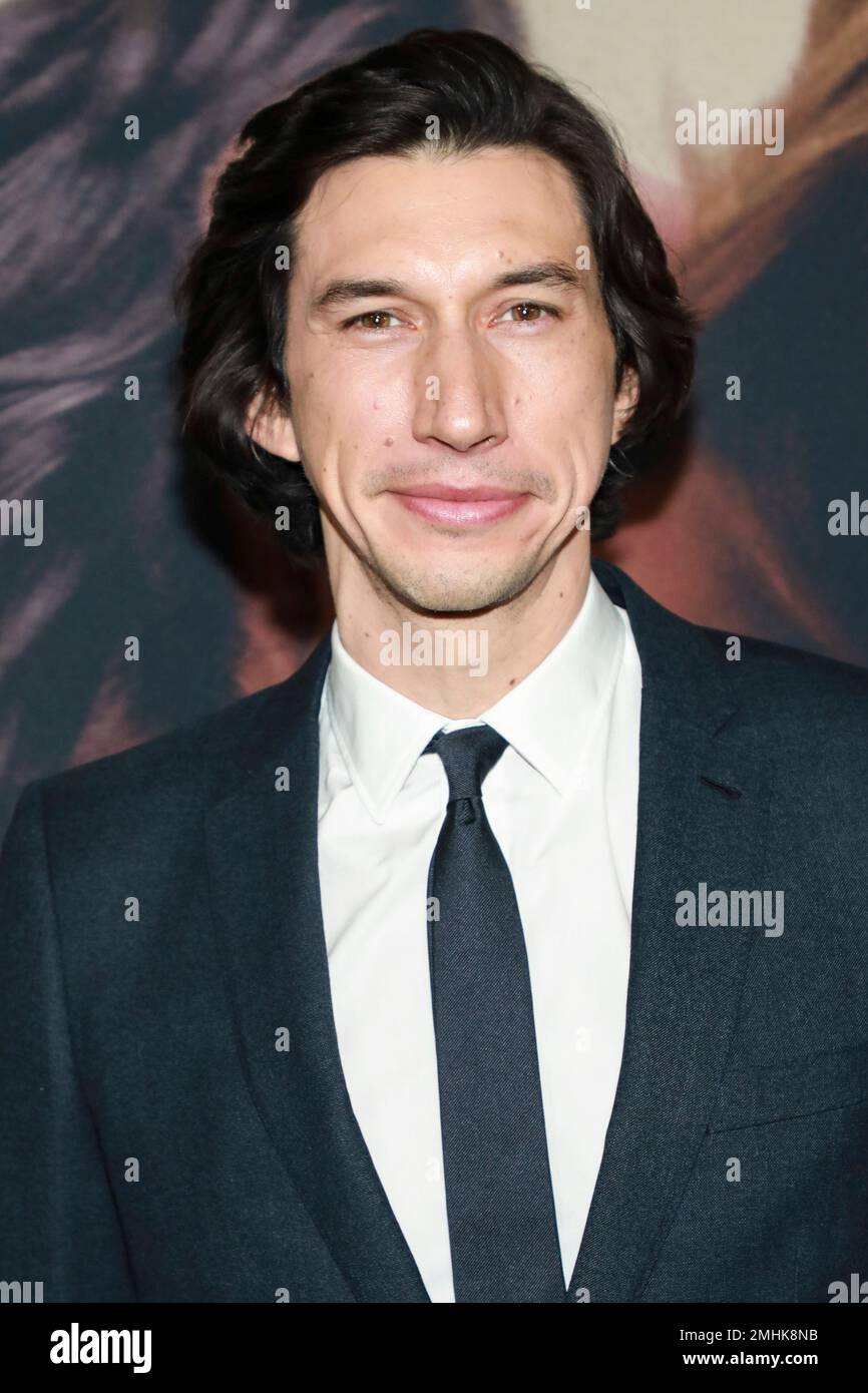 Adam Driver attends the premiere of "Marriage Story" at the Paris ...