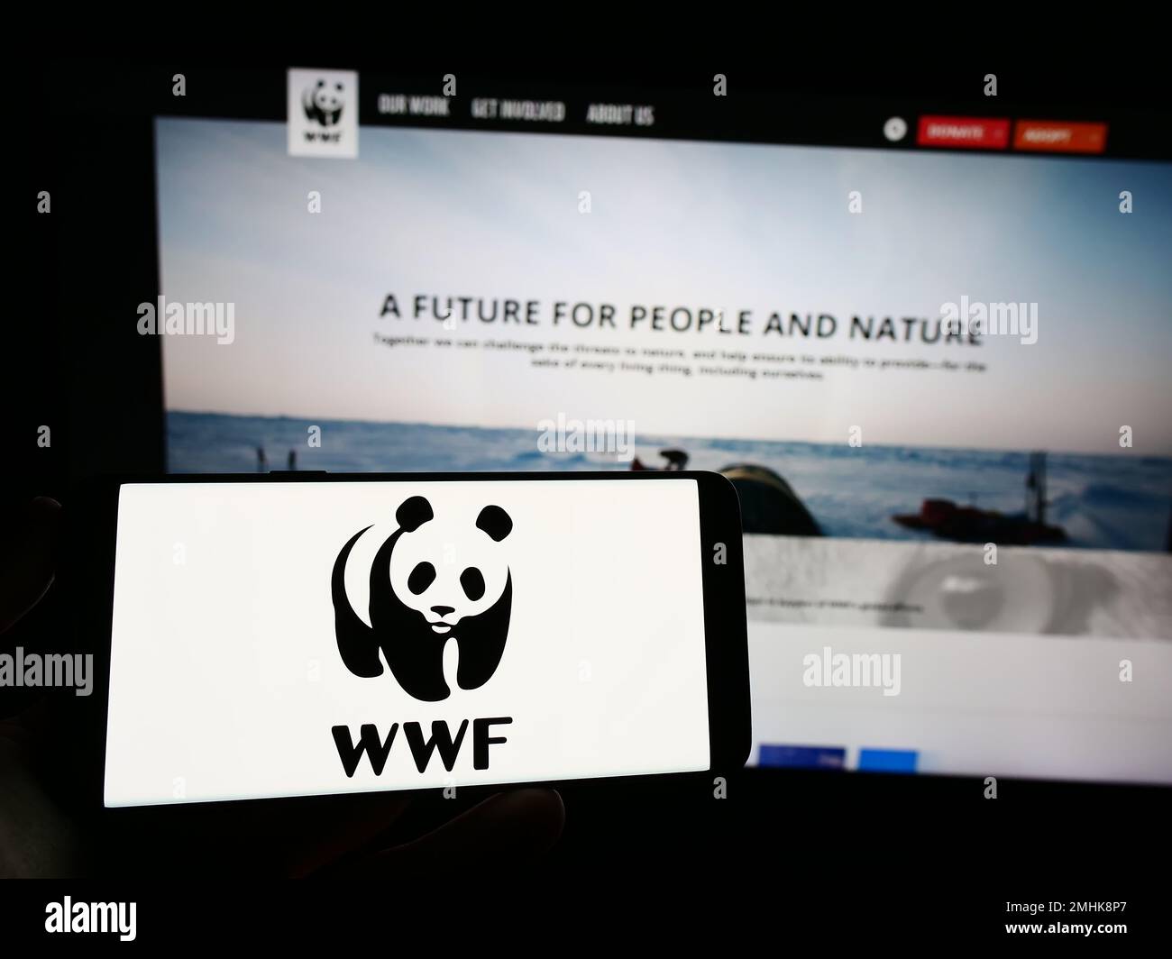 Person holding mobile phone with logo of World Wide Fund for Nature Inc ...