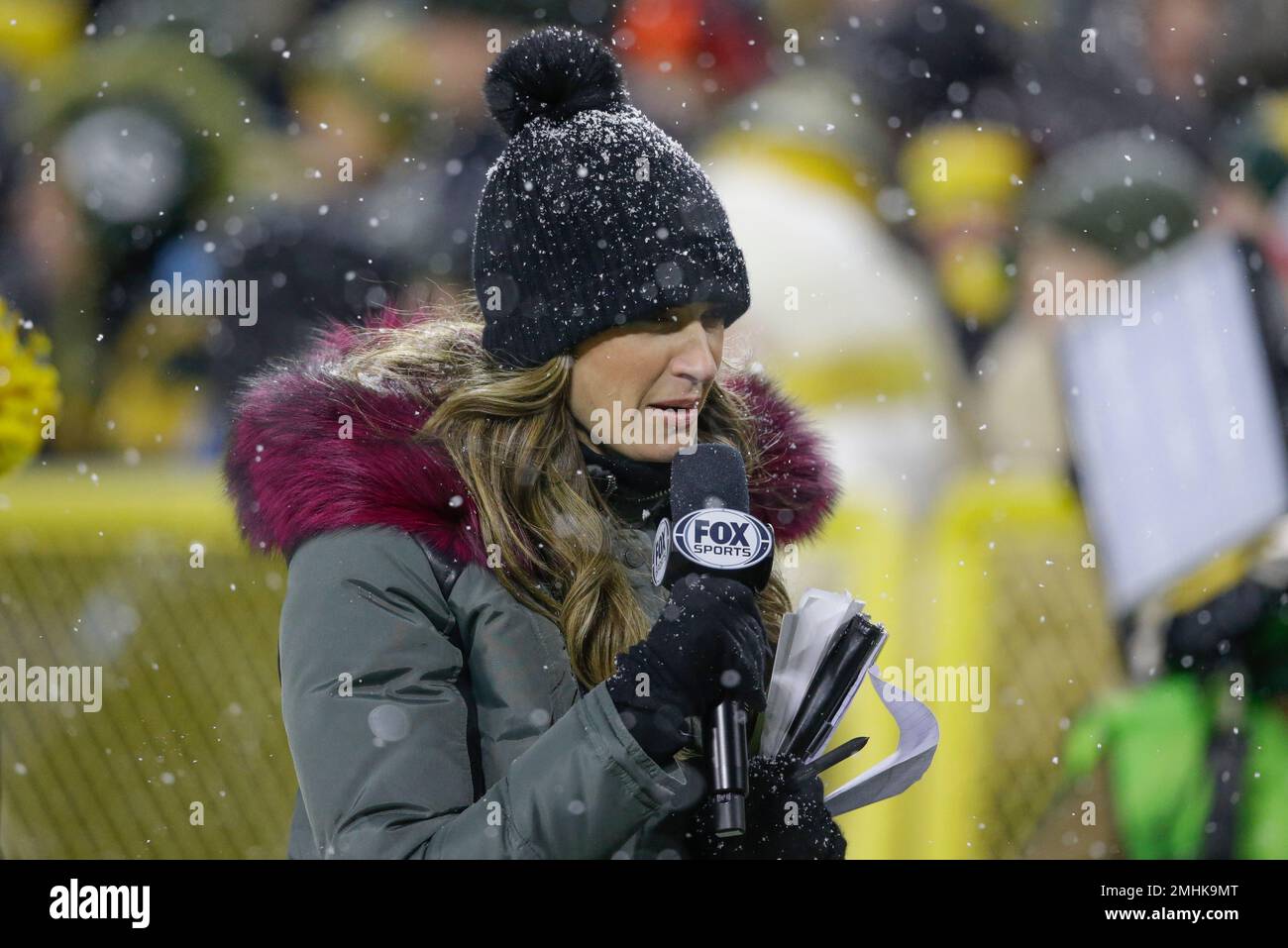 Erin Andrews during the second half of an NFL football game between the ...