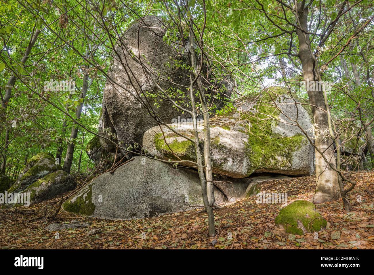 Strangely shaped stone foot of a fossilized titan and an alien skull in ...
