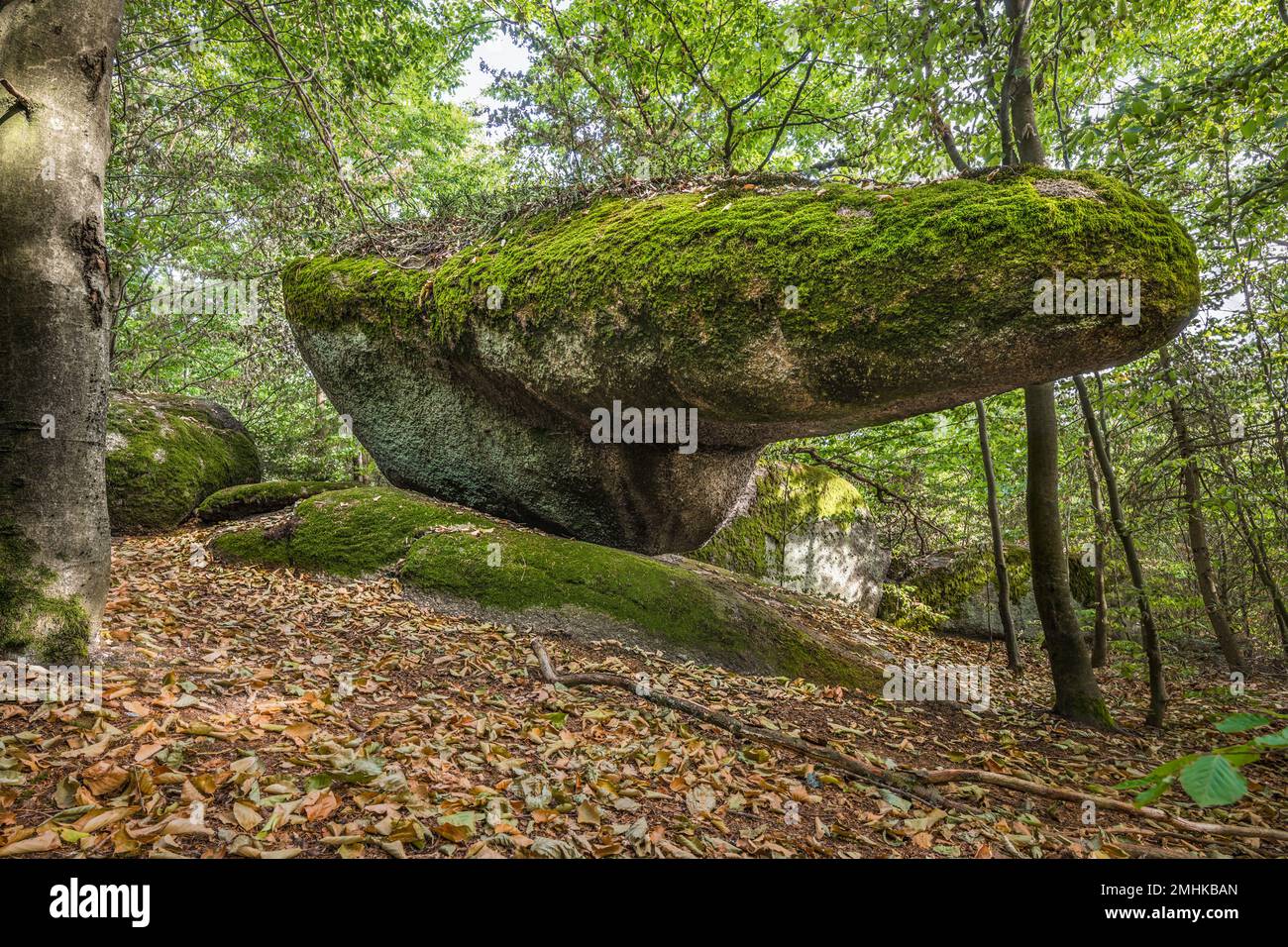 Strangely shaped stone beak stone human stone working defies gravity ...