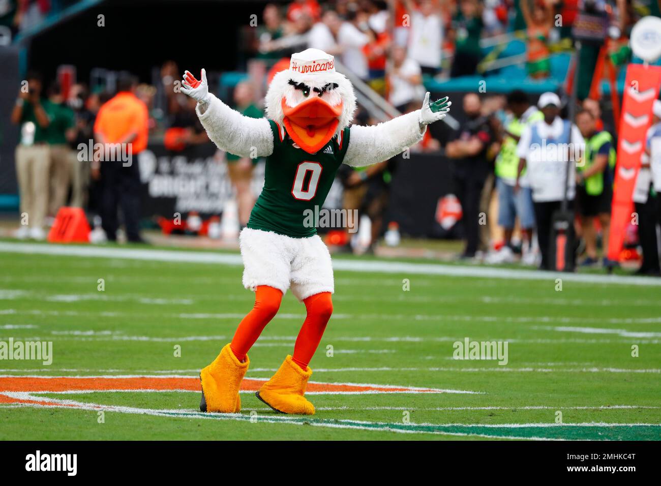 Miami mascot Sebastian the Ibis performs during the first half of an ...