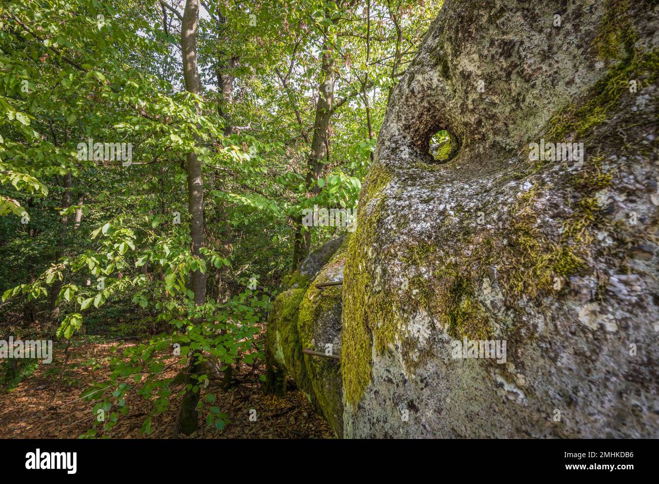 Stone stairs and human processing of stone rocks from the prehistoric ...