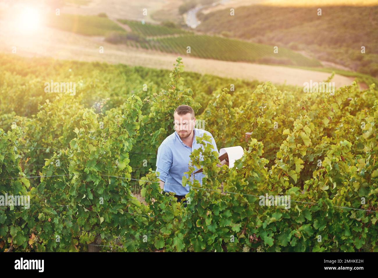 I compare my yields of each year. a farmer out on his rounds in his ...