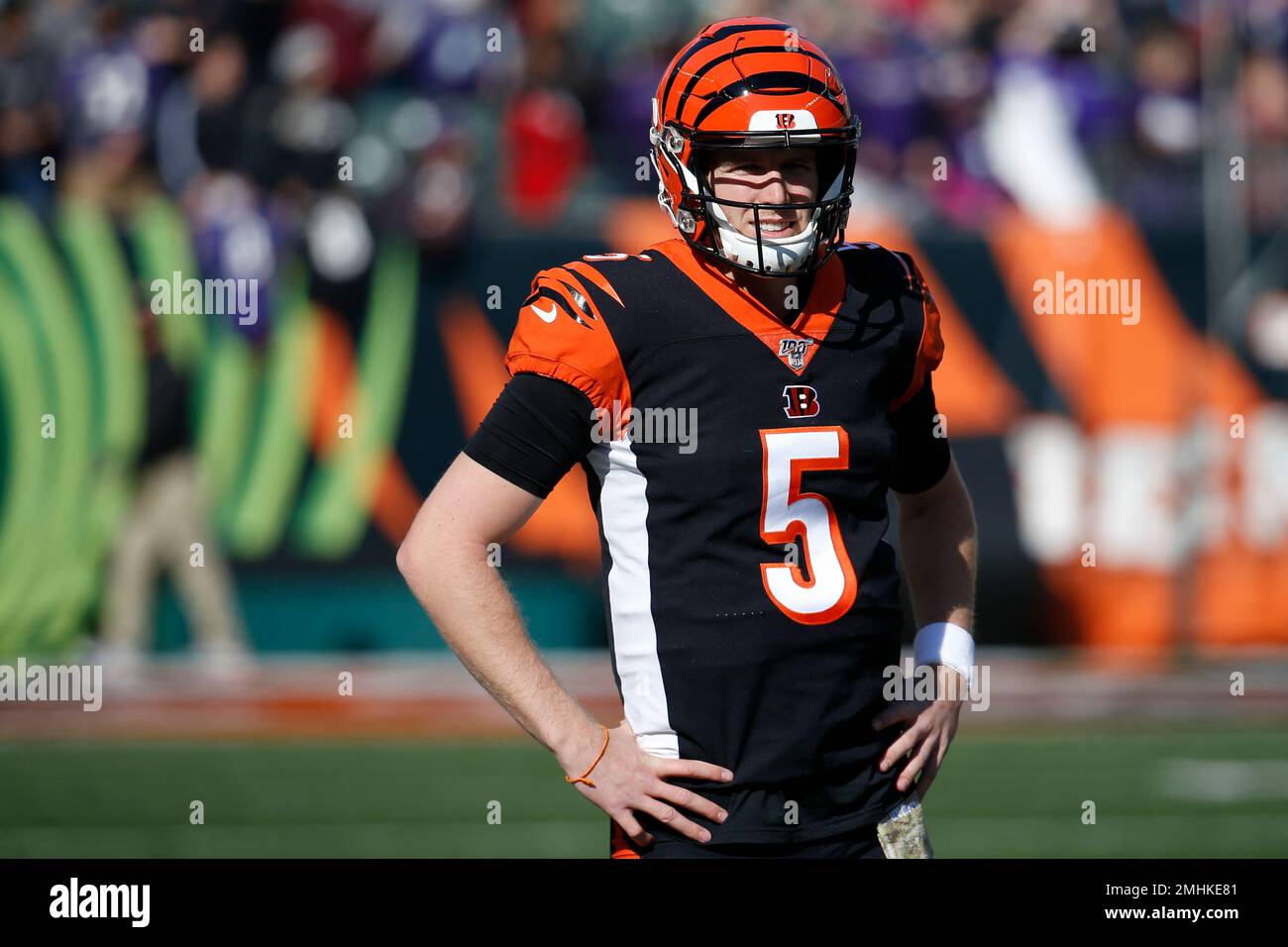 Cincinnati Bengals quarterback Ryan Finley practices before an NFL ...