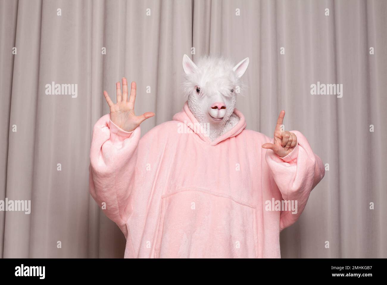 Person in pink hoodie with lama head showing gestures on studio wall ...